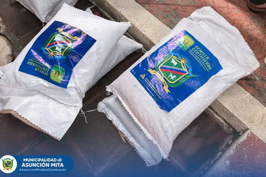 Entrega de Semilla Fertilizada de Maíz y Frijol – Municipalidad de ...